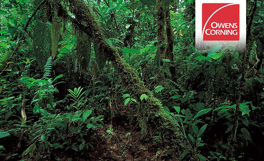 Owens Corning Again Earns Spot on Dow Jones Sustainability World Index ...