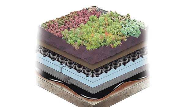 Focus On Vegetative Roof Systems | 2013-04-11 | Roofing Contractor