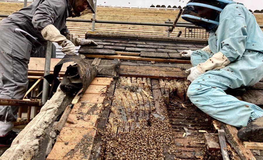 5 Scary Roofing Encounters for Halloween | 2020-10-30 | Roofing Contractor